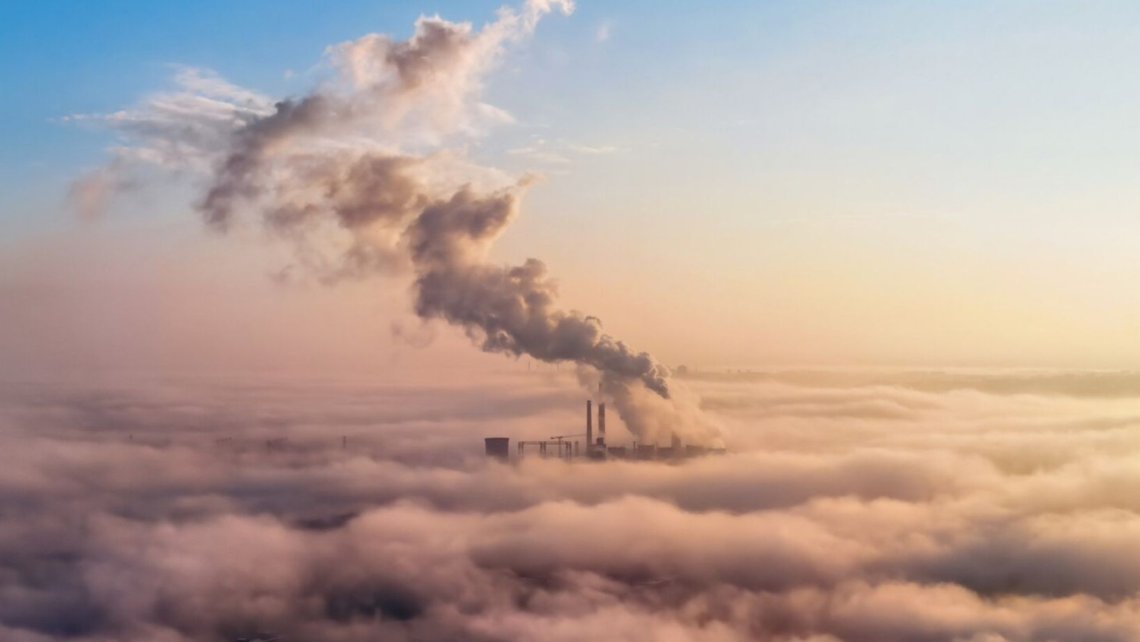 CO₂ Calculator for Supply Chain Decarbonization – Reduce Emissions ...